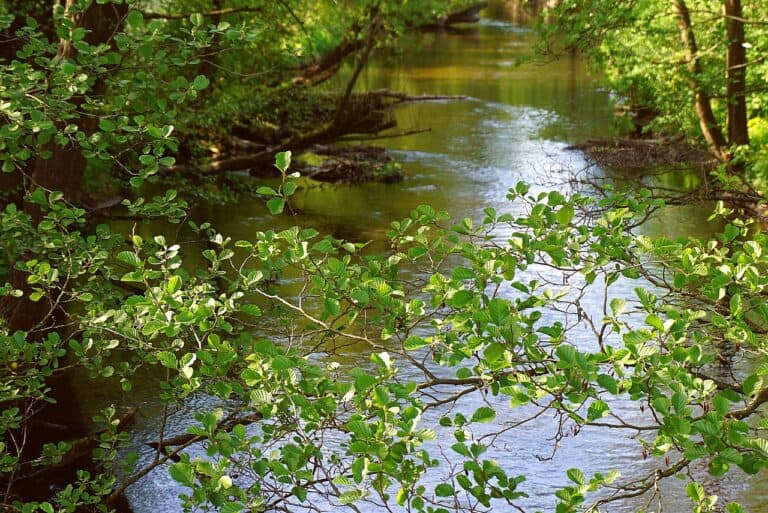 Fluss mit W 🌊 große Liste mit vielen Bildern & Erklärungen