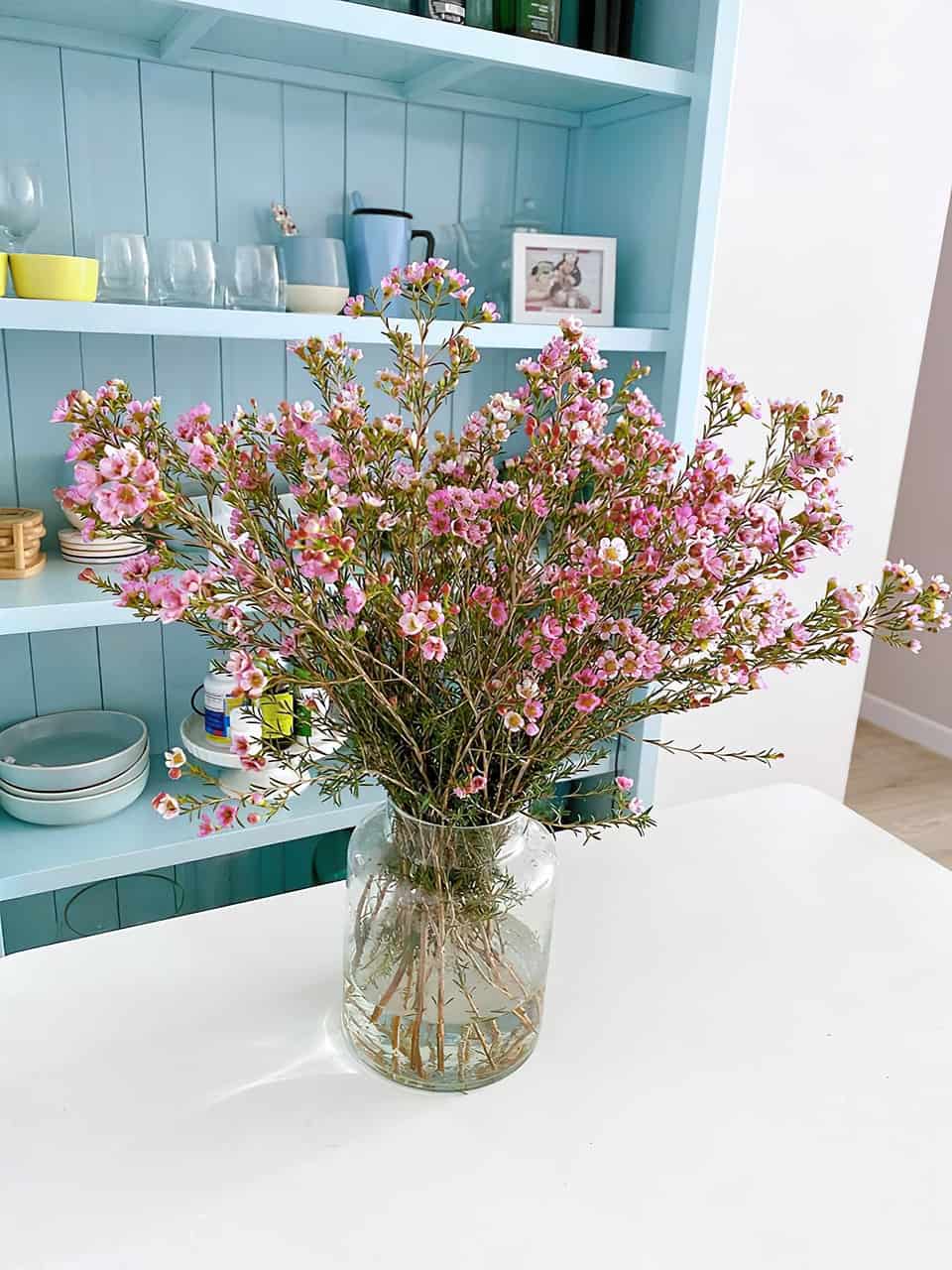 Blume mit W - große Liste mit vielen Bildern & Erklärungen